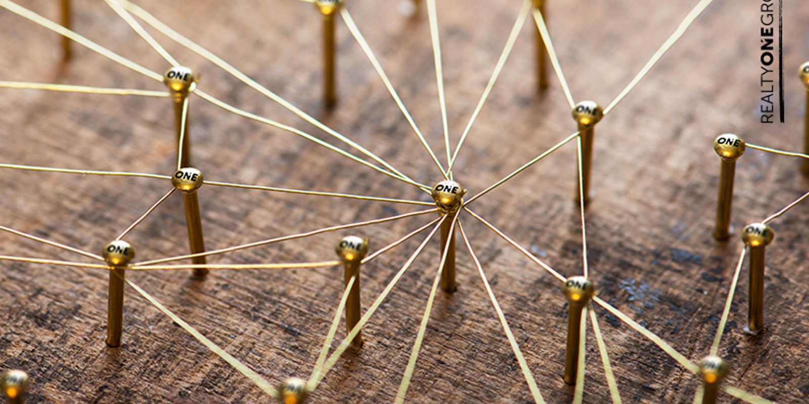 Let's Connect | Realty ONE Group